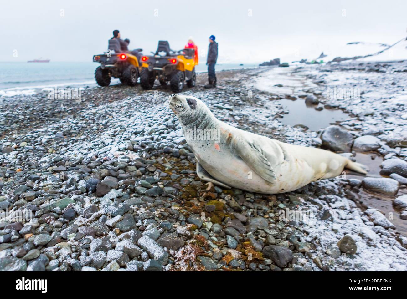 Beautiful landscape and scenery in Antarctica. Freezing Stock Photo - Alamy