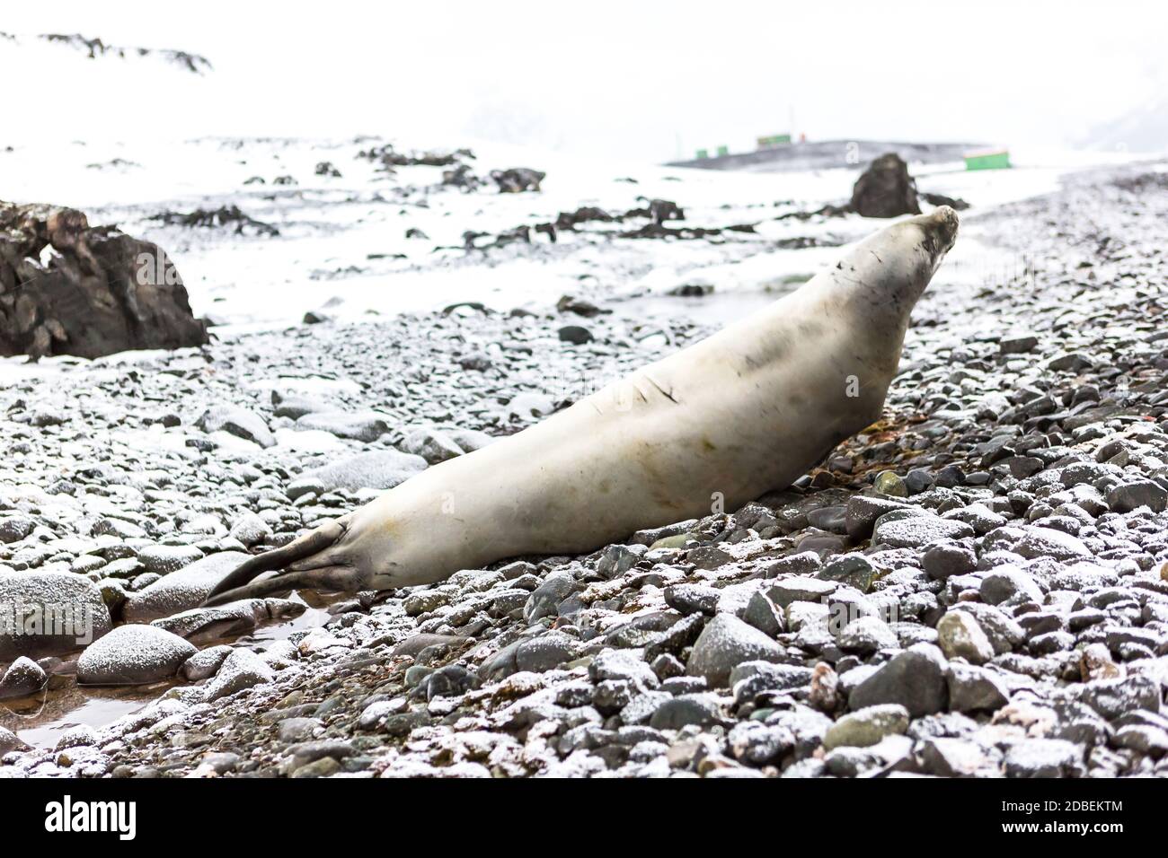 Beautiful landscape and scenery in Antarctica. Freezing Stock Photo - Alamy