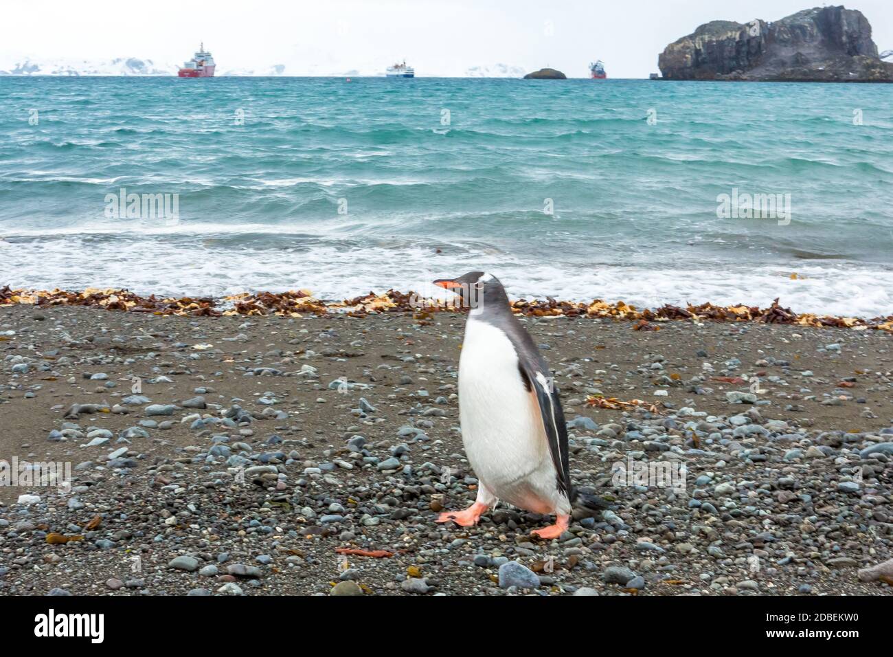 Beautiful landscape and scenery in Antarctica. Freezing Stock Photo - Alamy
