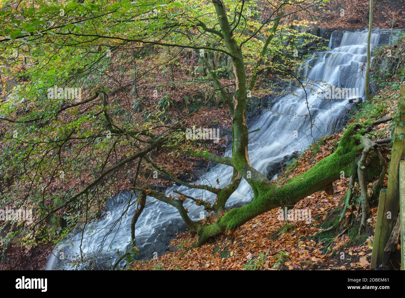 Cleddon falls hi-res stock photography and images - Alamy