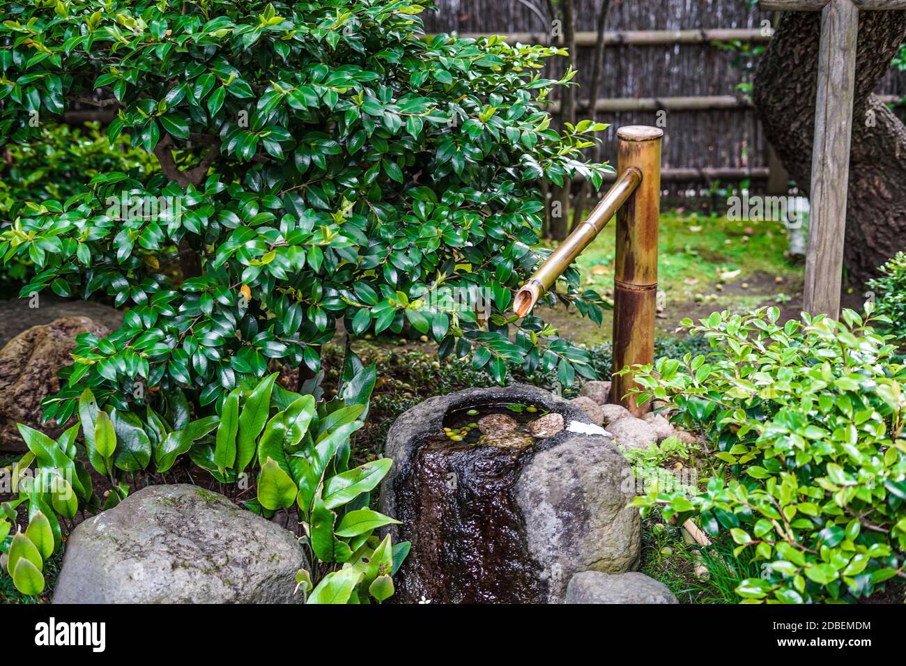 Tempering O was to have been surrounded by greenery. Shooting Location ...