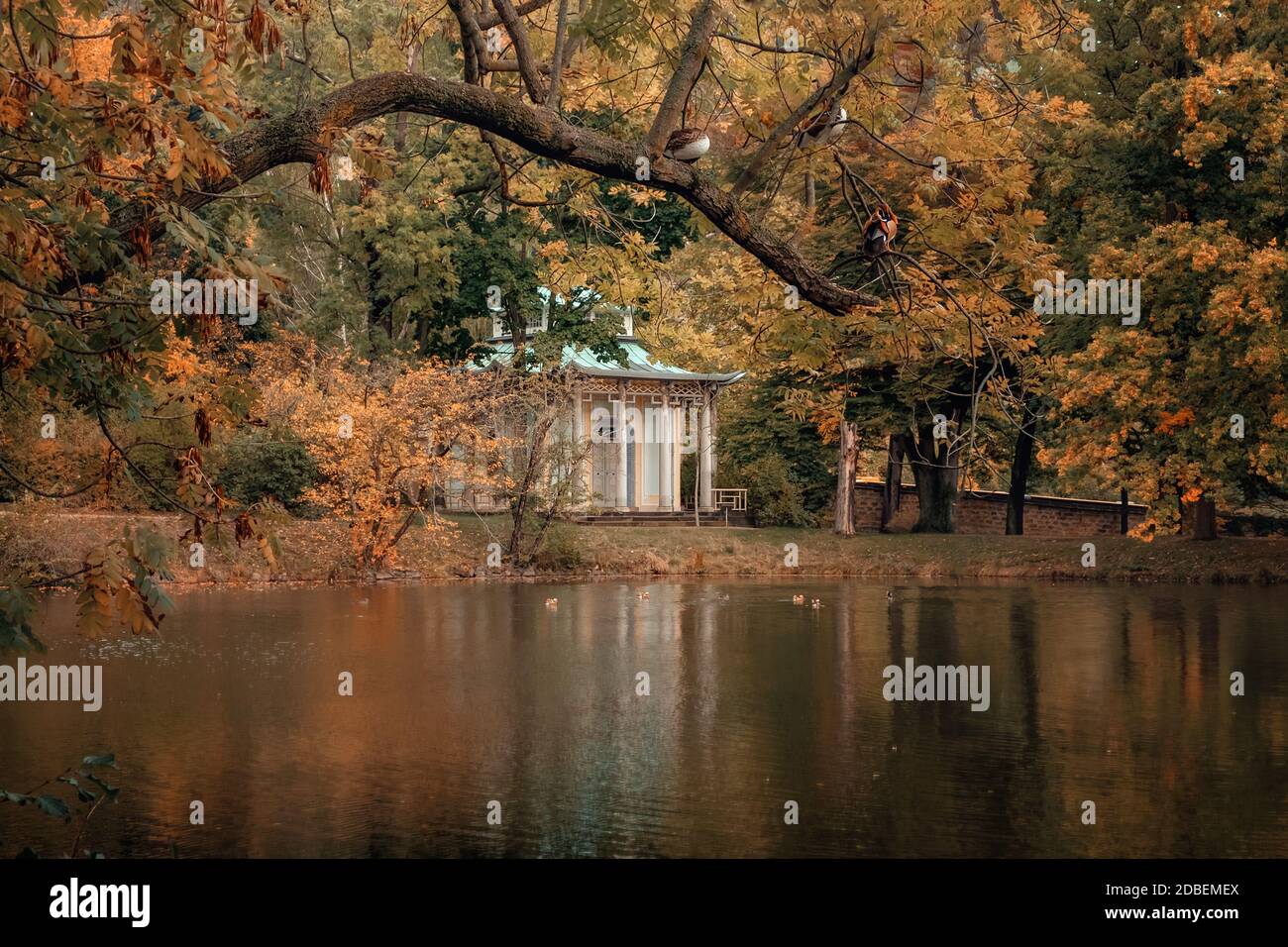 Fall colors in germany hi-res stock photography and images - Alamy