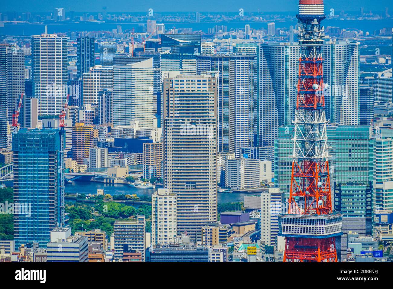 Tokyo Tower and urban landscape. Shooting Location: Tokyo metropolitan ...