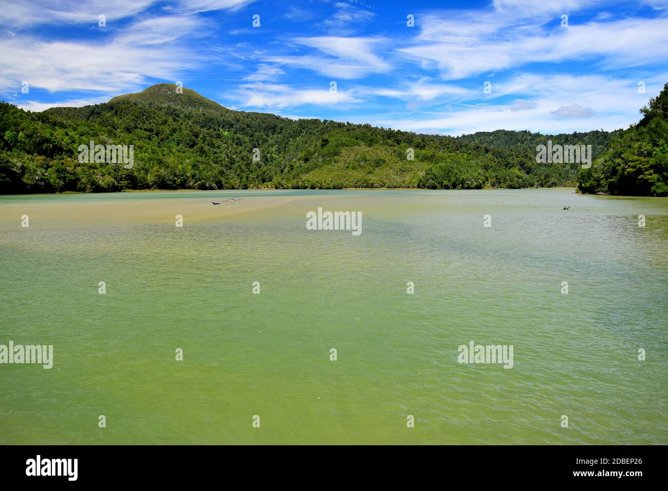 The beautiful Whanganui Inlet is a marine and wildlife reserve. New ...