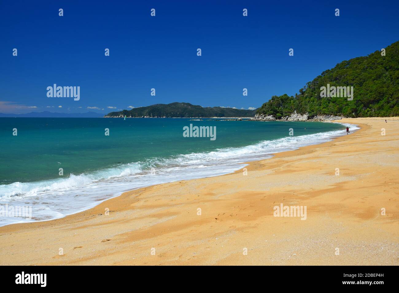 The beautiful Totaranui Bay with its wonderful golden sandy beach. Some ...