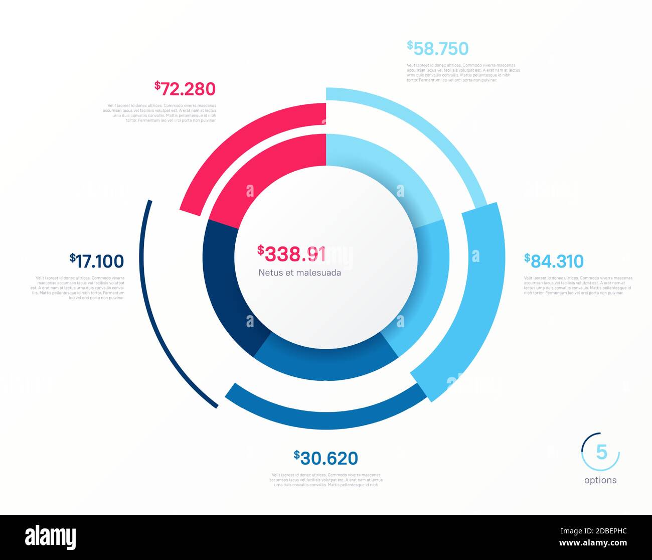Vector infographic round chart template. Five options, steps, parts ...
