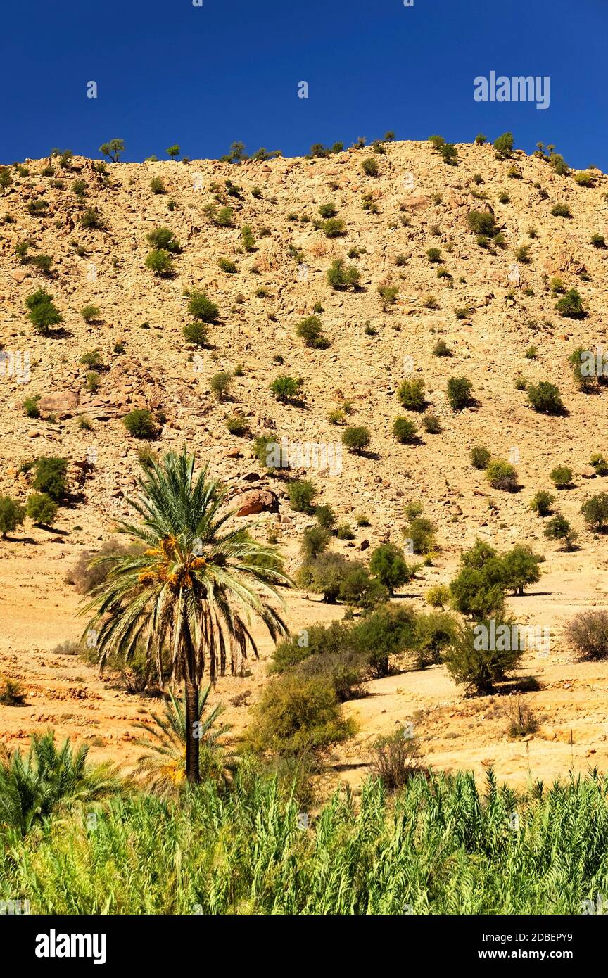 Alpine landscape in Atlas Mountains, Morocco, Africa Stock Photo - Alamy
