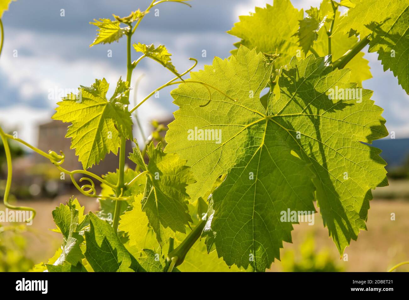 Villars france hi-res stock photography and images - Alamy