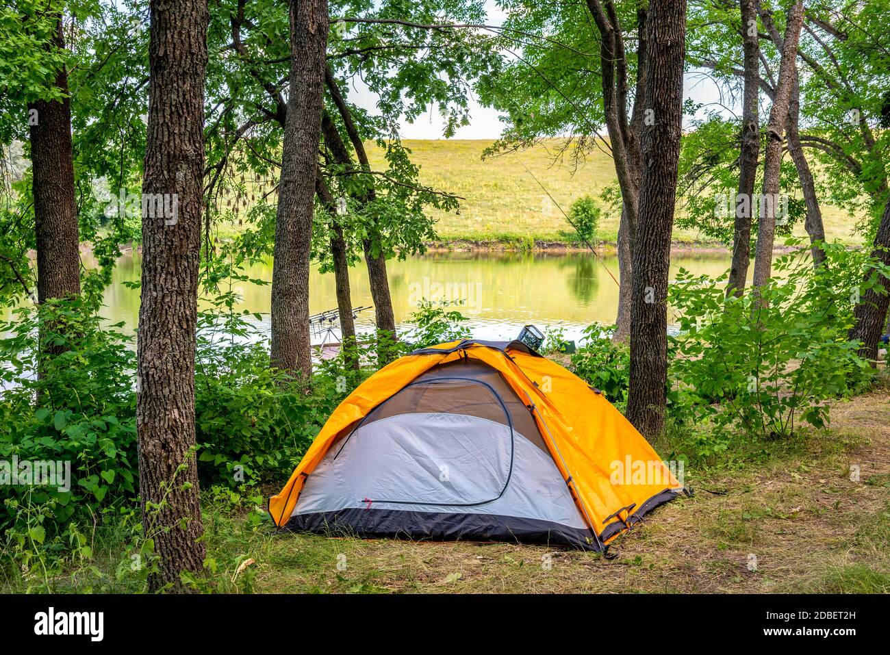 Orange tent in pine hi-res stock photography and images - Alamy