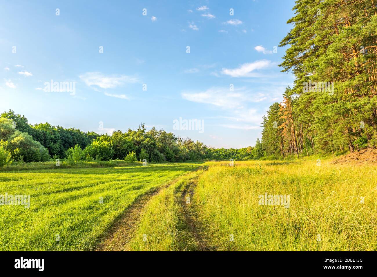 Country road through meadow hi-res stock photography and images - Alamy