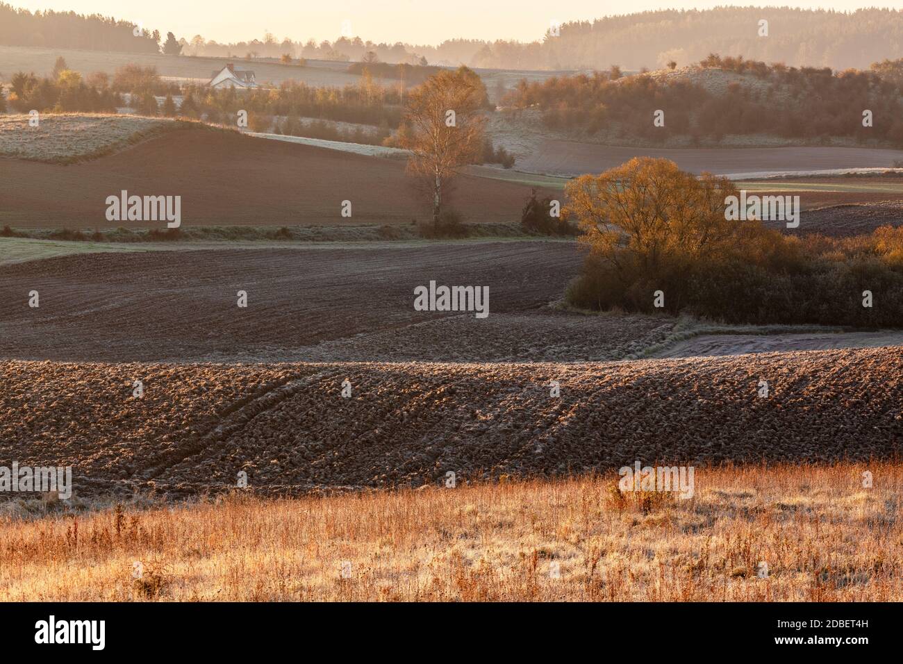 Masuria agriculture hi-res stock photography and images - Alamy