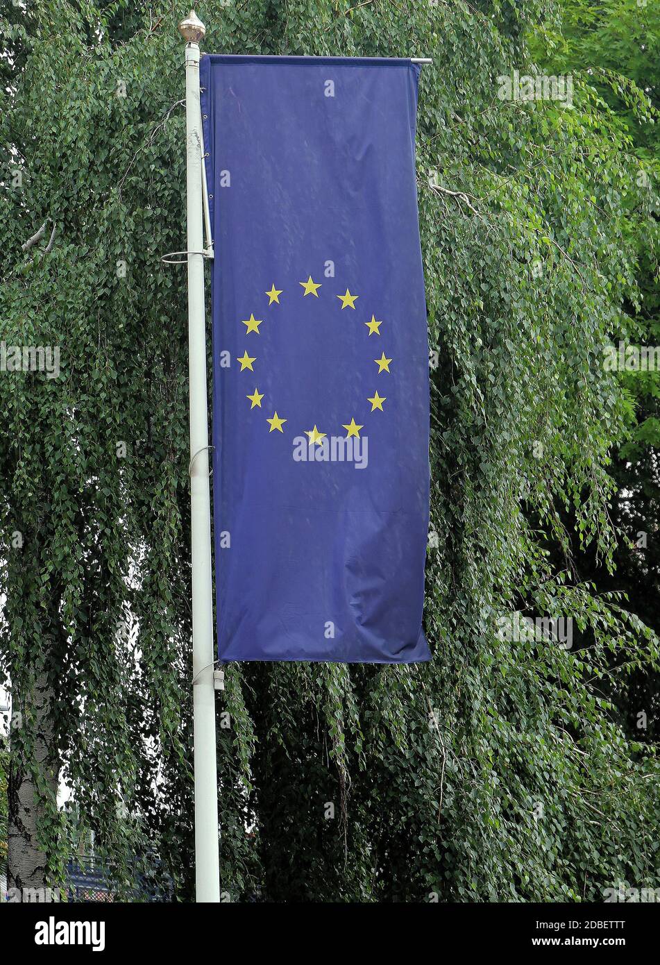 European union flag on pole in park Stock Photo - Alamy