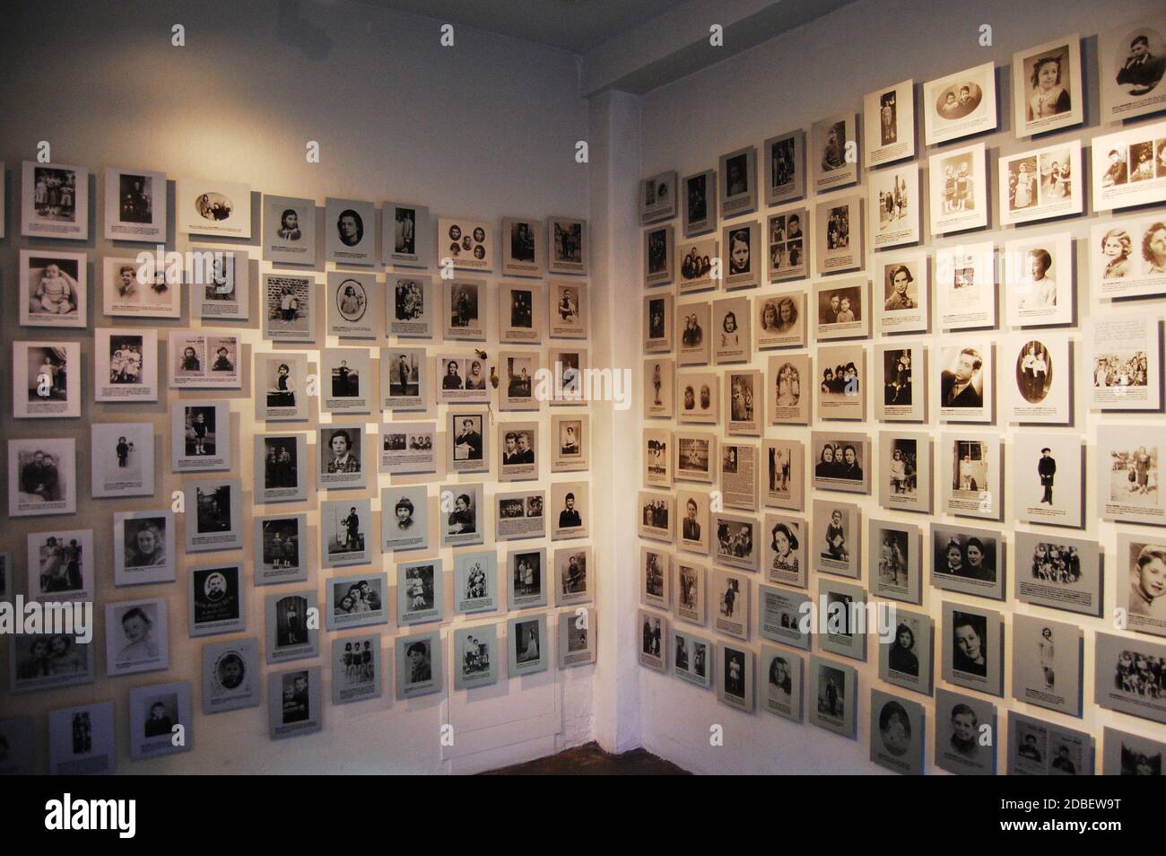 Portrait photographs of prisoner victims at Auschwitz concentration ...