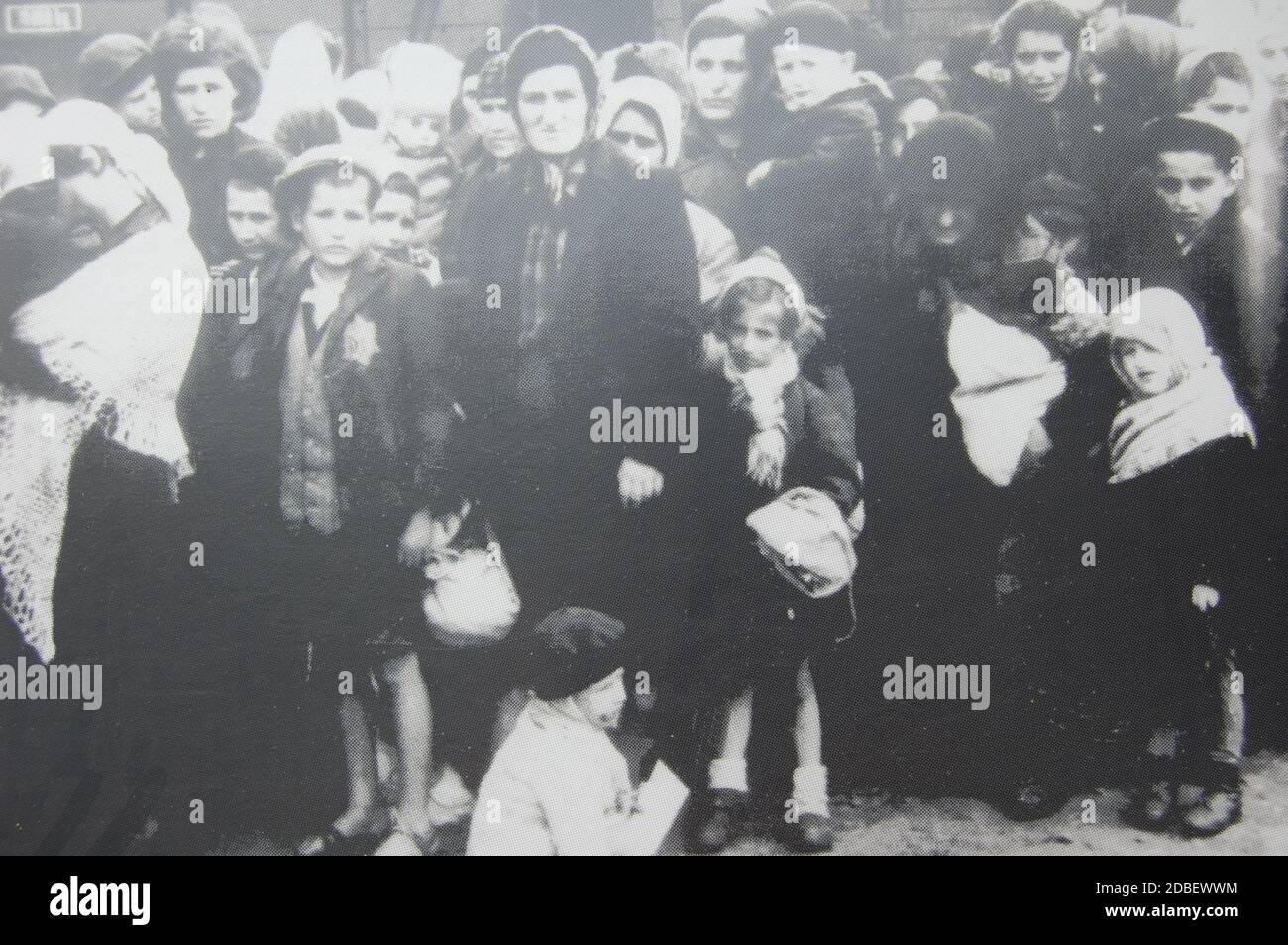 Auschwitz concentration camp children hi-res stock photography and ...