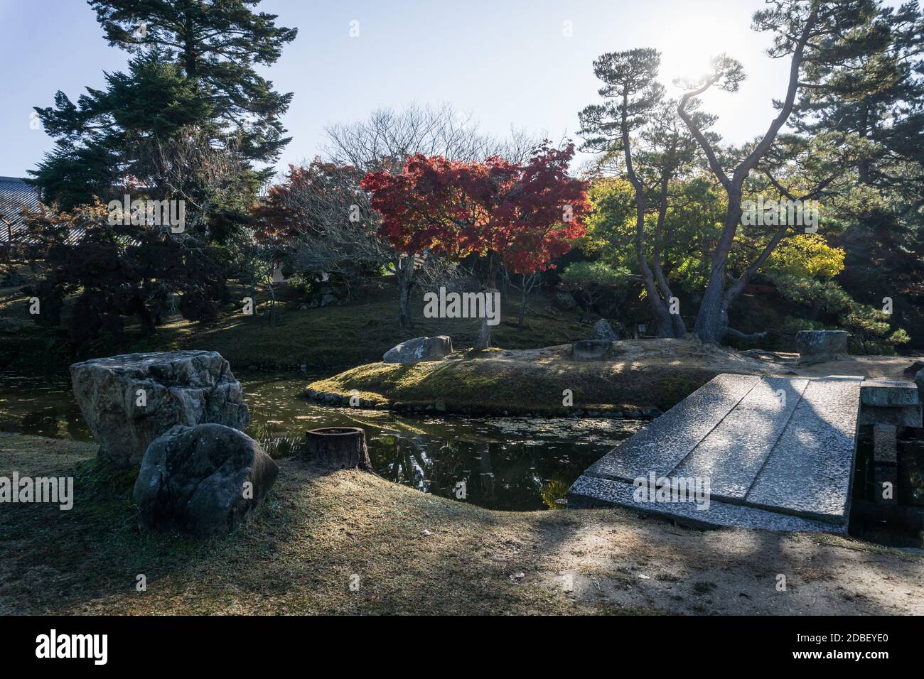 Autumn leaves and colours in Nara Park, Nara, Japan Stock Photo - Alamy
