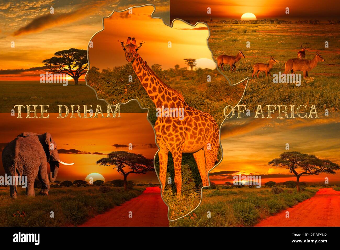 African Sunset With Elephants