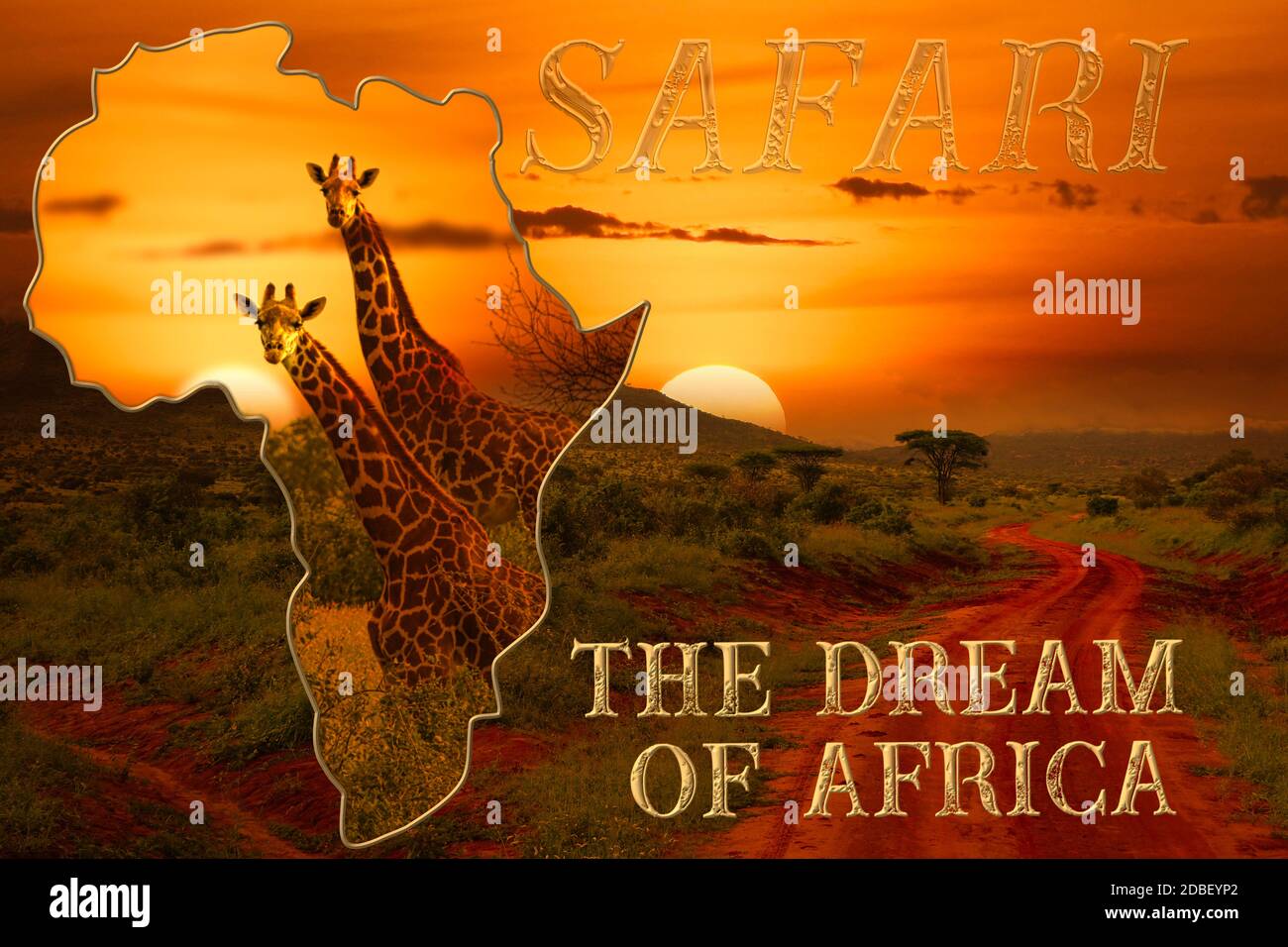 Africa safari animals sunset hi-res stock photography and images - Alamy