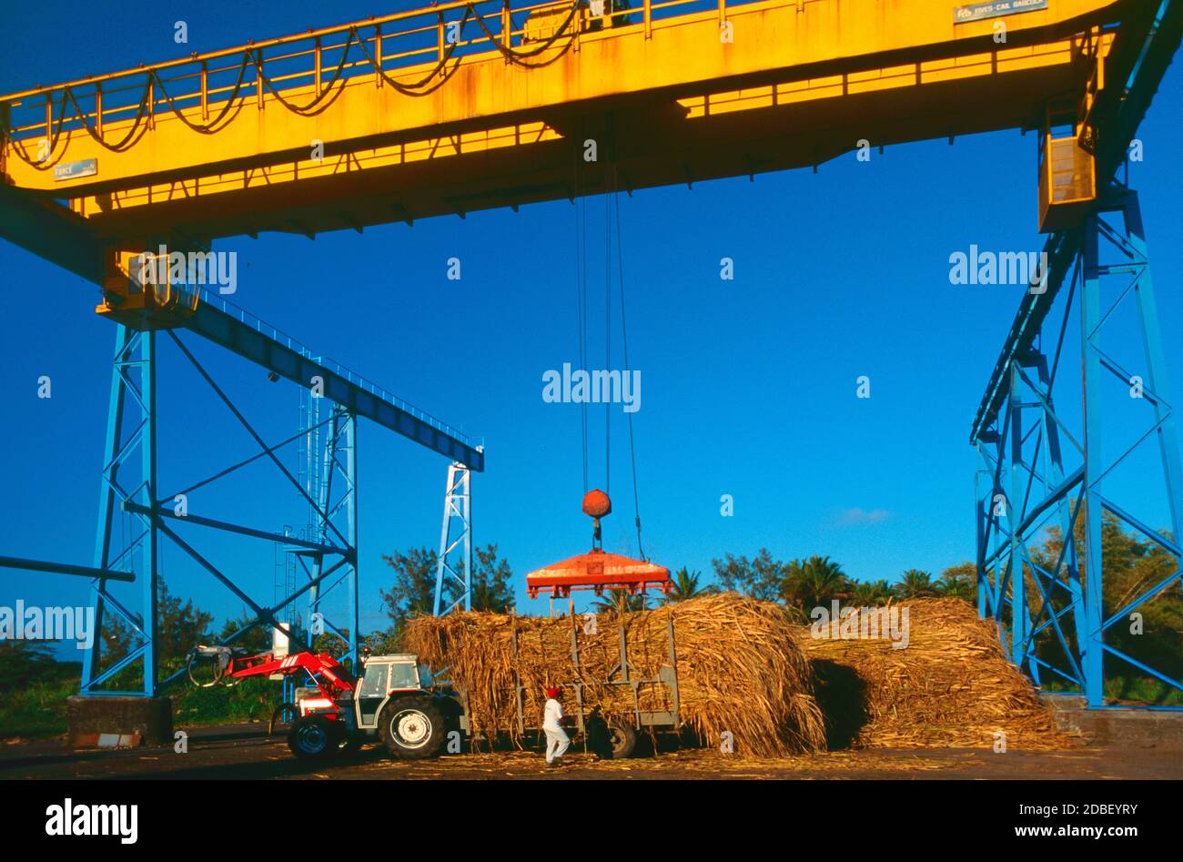 Sugar Cane Farmer Weighing Sugar Cane Harvest in south-east of La ...