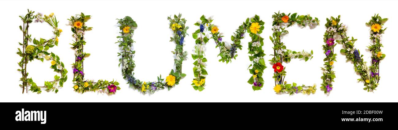 Flower, Branches And Blossom Letter Building German Word Blumen Means ...