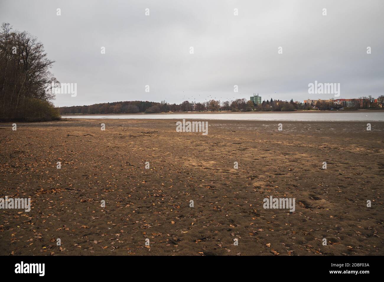 Empty fish pond hi-res stock photography and images - Alamy
