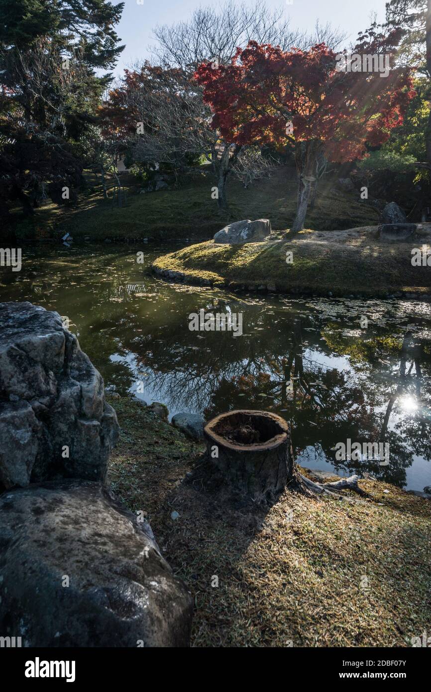 Autumn leaves and colours in Nara Park, Nara, Japan Stock Photo - Alamy