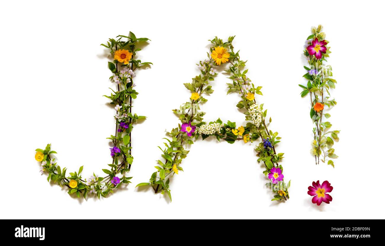 Flower, Branches And Blossom Letter Building German Word Ja Means Yes ...