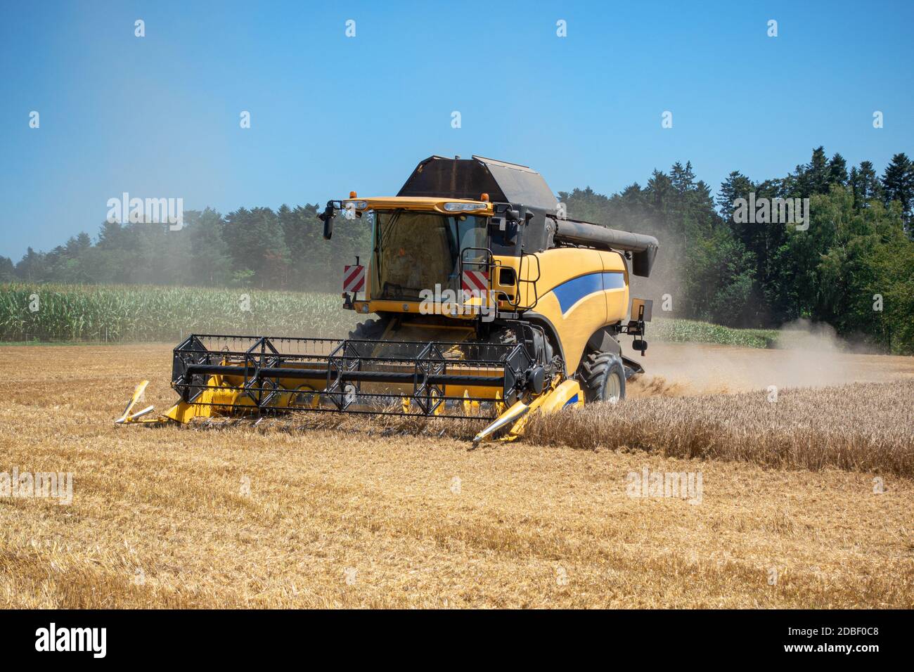 Combine harvester is harvesting a grain field Stock Photo - Alamy