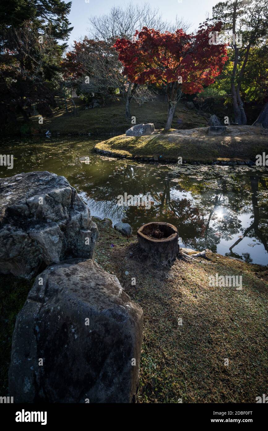Autumn leaves and colours in Nara Park, Nara, Japan Stock Photo - Alamy