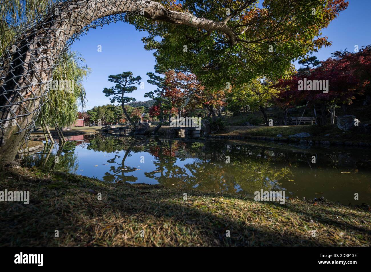 Autumn leaves and colours in Nara Park, Nara, Japan Stock Photo - Alamy