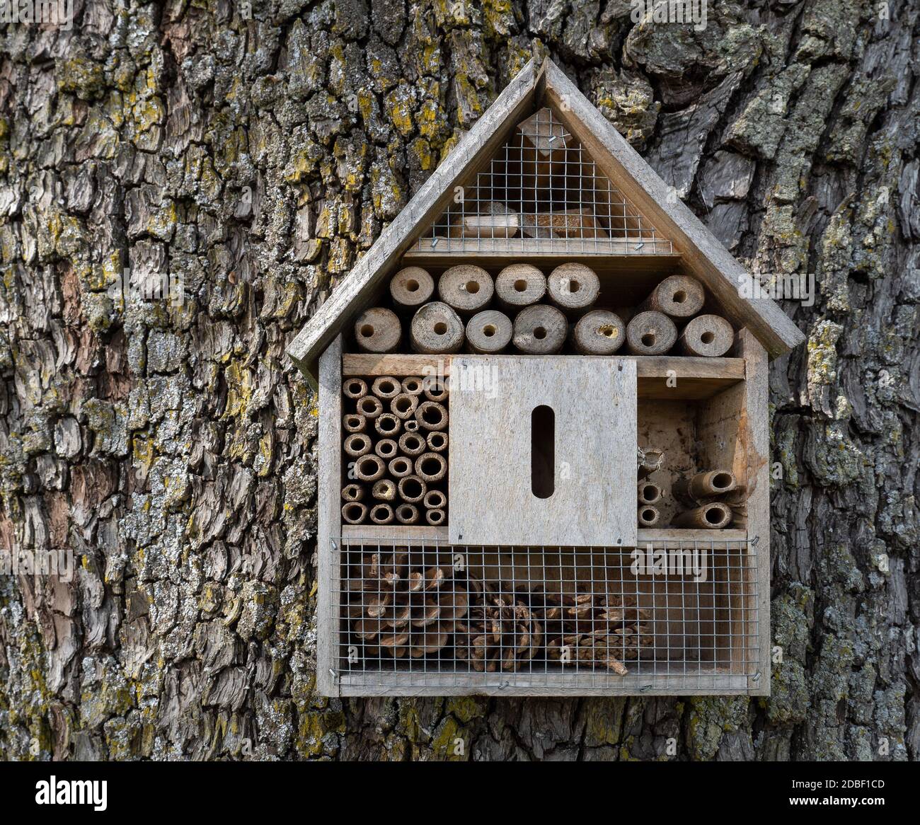 Insect hotel in the shape of a house Stock Photo - Alamy