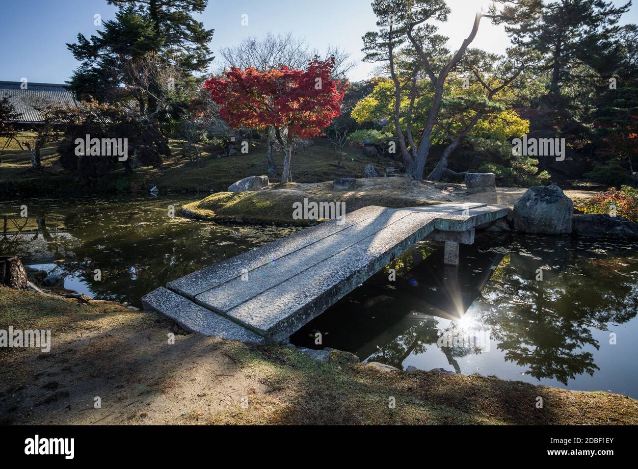 Autumn leaves and colours in Nara Park, Nara, Japan Stock Photo - Alamy