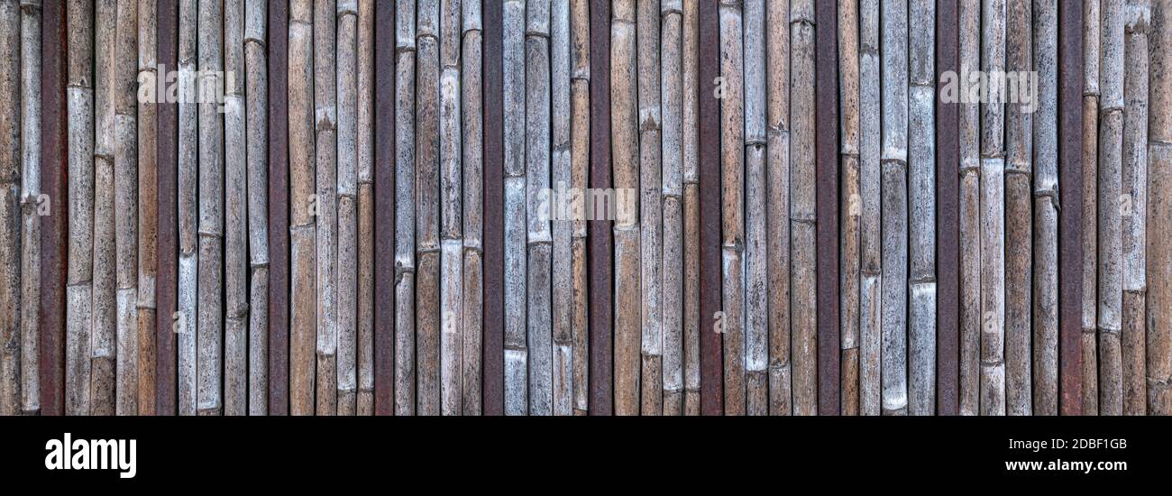 Reed privacy screen hi-res stock photography and images - Alamy