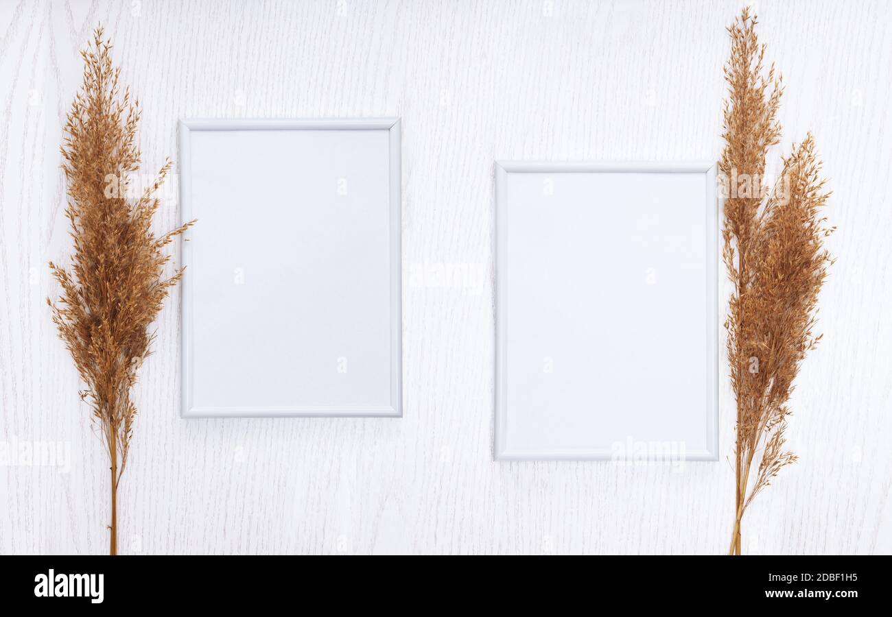 Reeds frame hi-res stock photography and images - Alamy