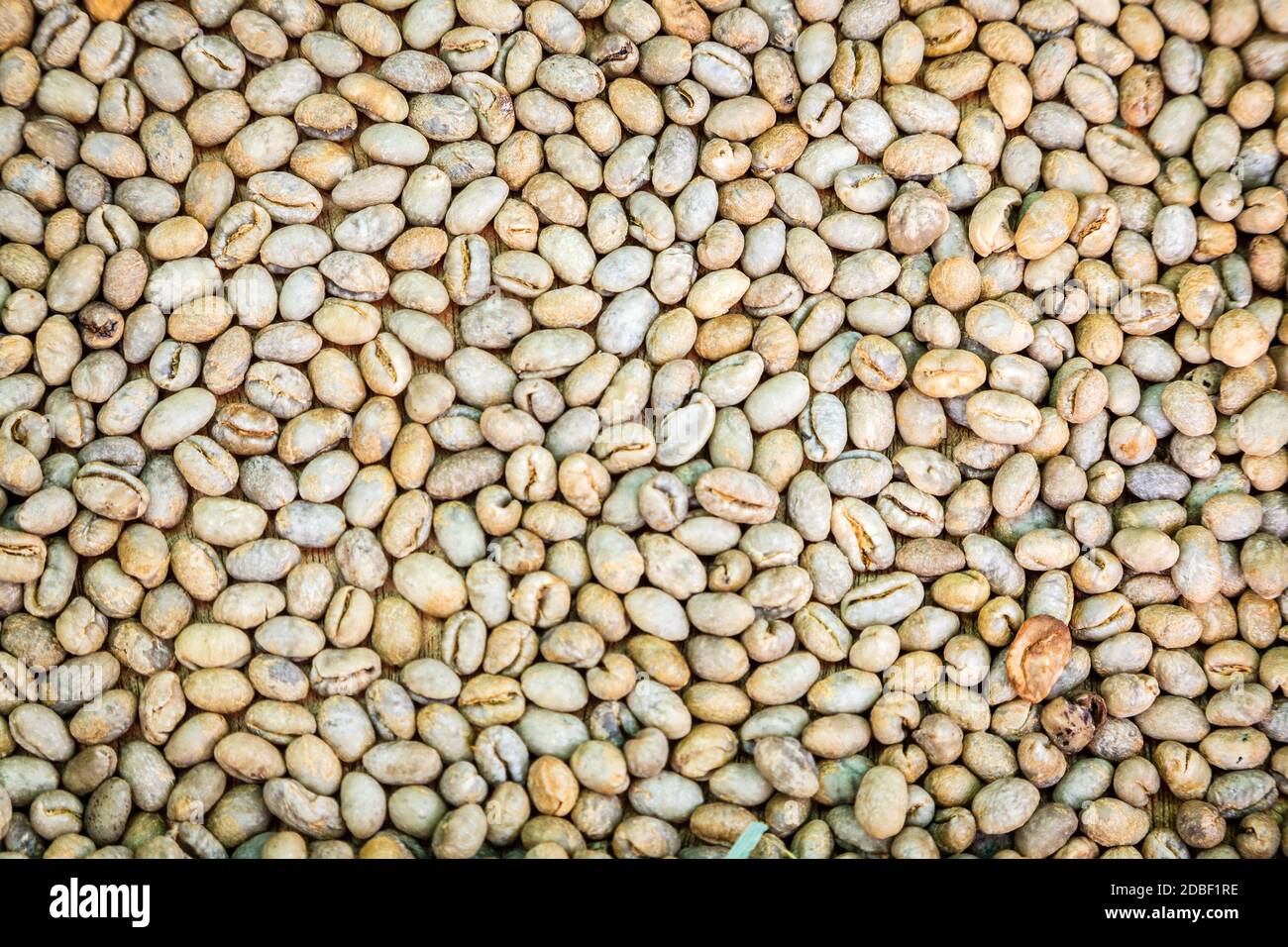 Close-up image of raw coffee beans at a processing plant Stock Photo ...