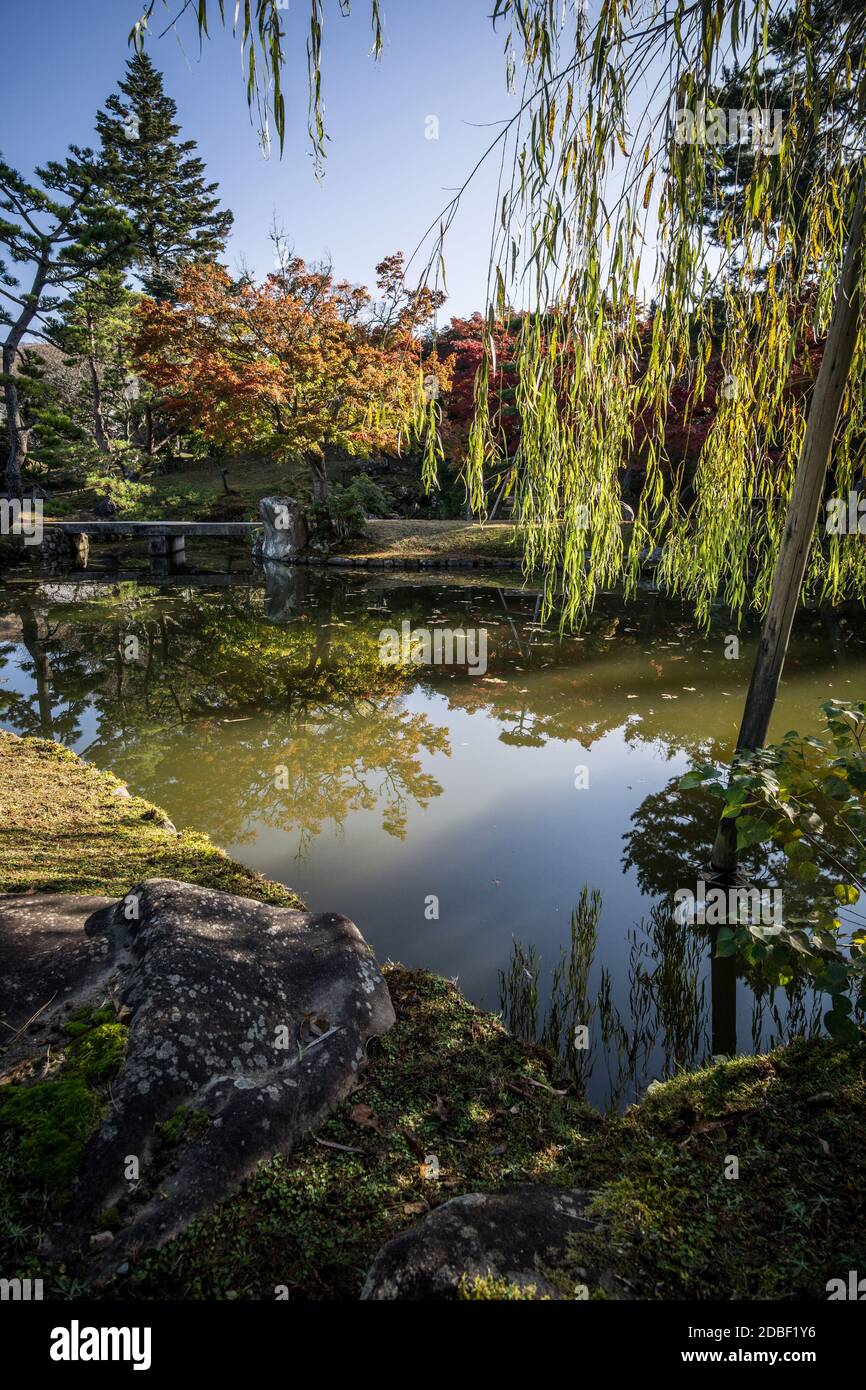 Autumn leaves and colours in Nara Park, Nara, Japan Stock Photo - Alamy