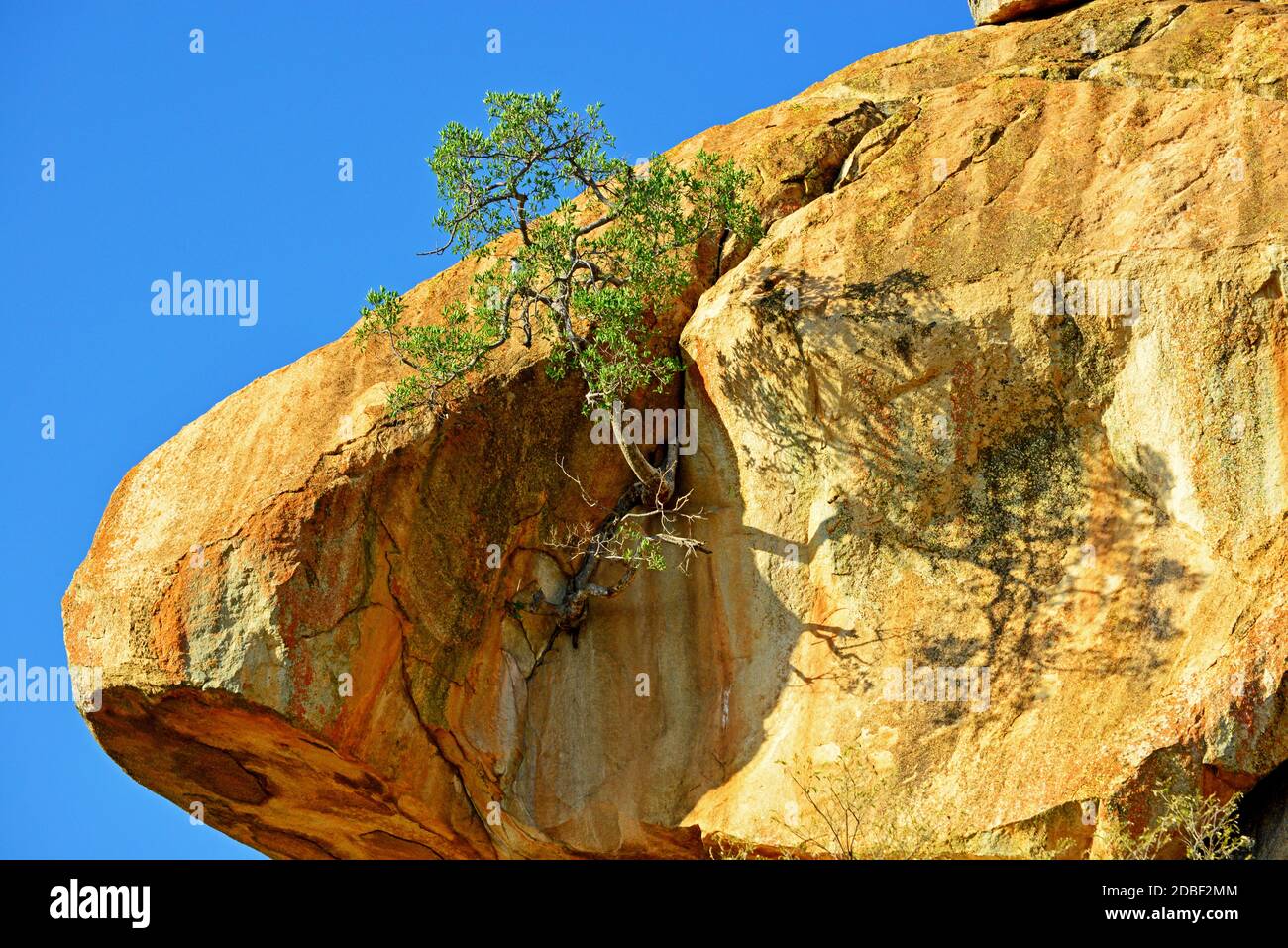 Balancing rocks zimbabwe hi-res stock photography and images - Alamy