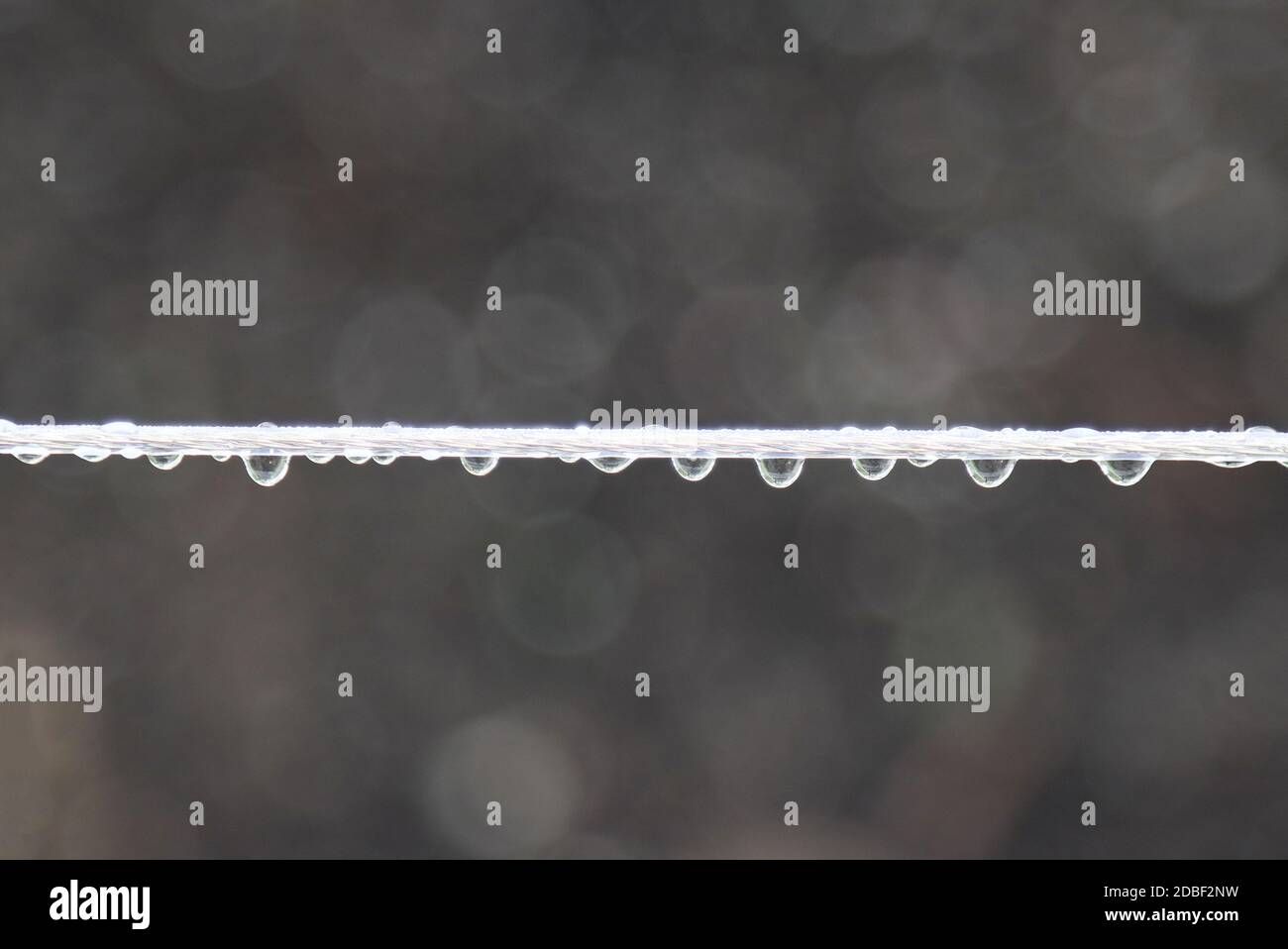 Drops of rainwater on a plastic rope. Background Stock Photo - Alamy