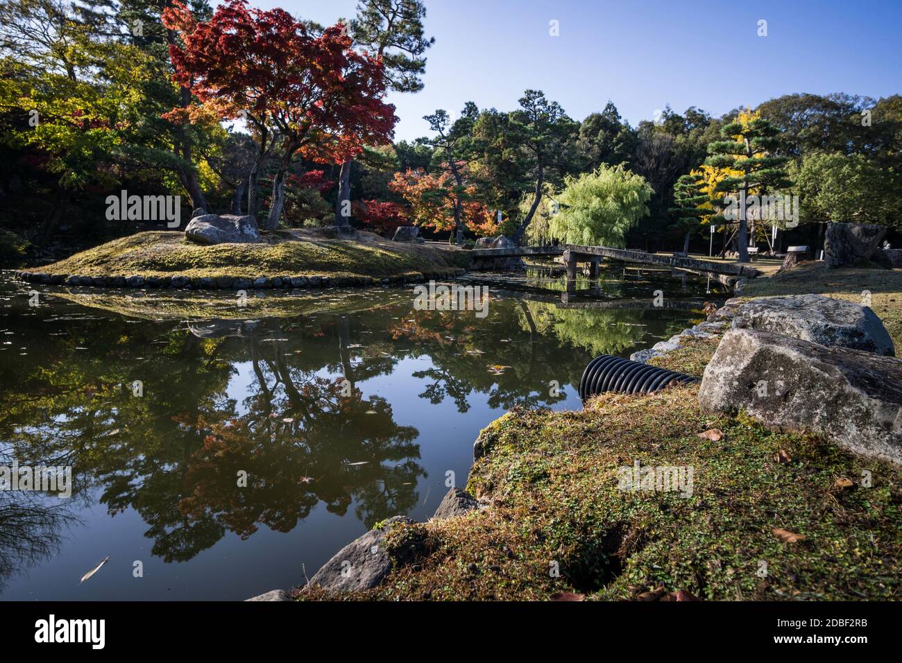 Autumn leaves and colours in Nara Park, Nara, Japan Stock Photo - Alamy