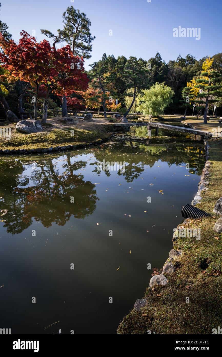 Autumn leaves and colours in Nara Park, Nara, Japan Stock Photo - Alamy