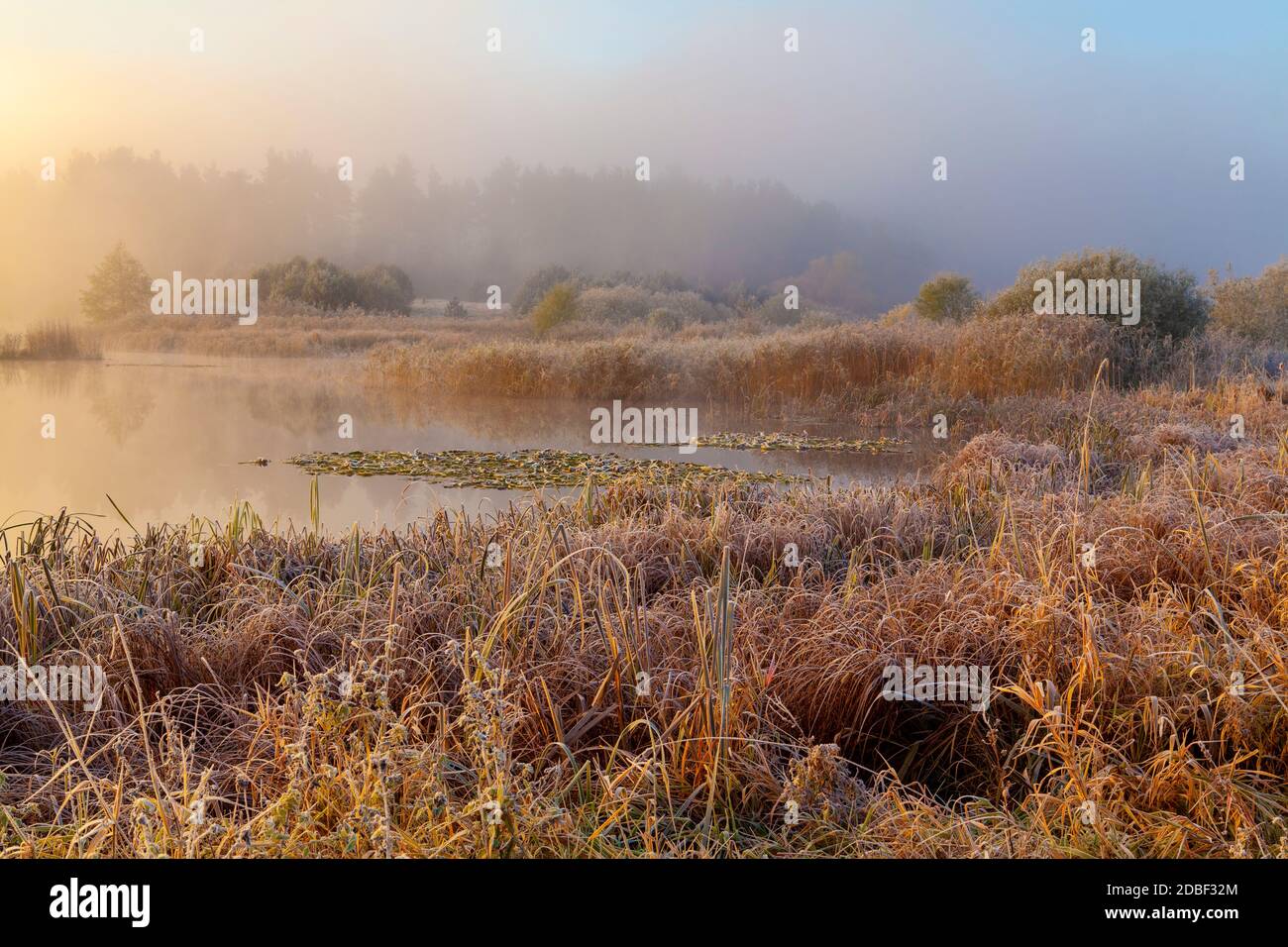 Warmia and Masuria, Poland, Europe Stock Photo - Alamy