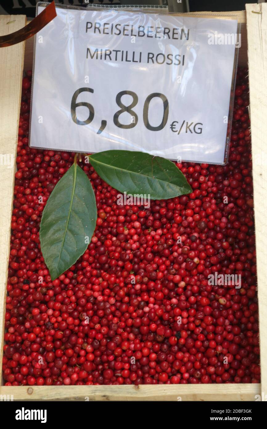 Cultivated cranberries hi-res stock photography and images - Alamy