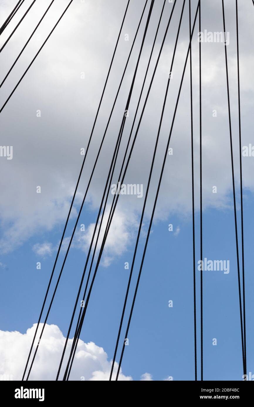 Steel cable with starling Stock Photo - Alamy