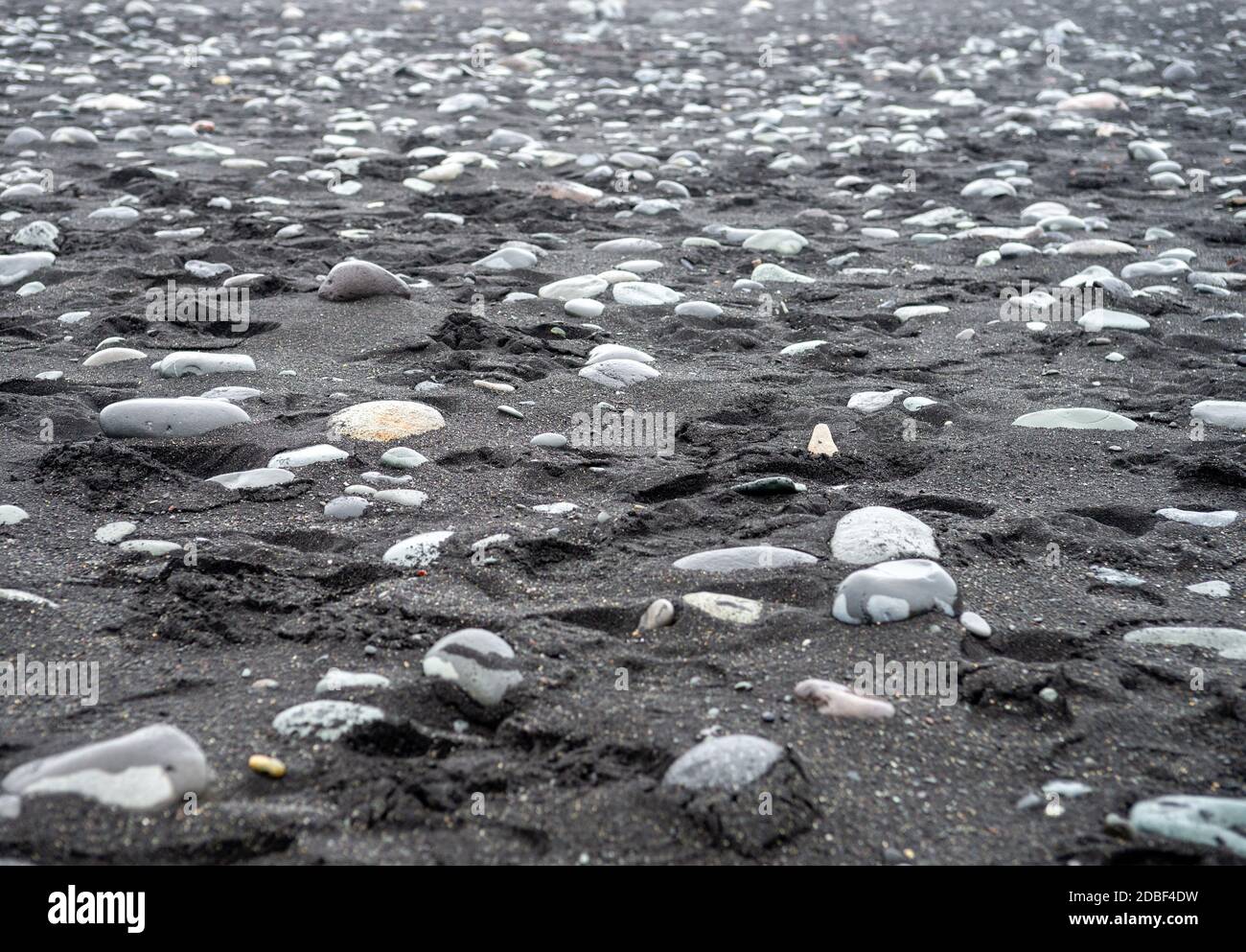 Ice berg on beach hi-res stock photography and images - Alamy