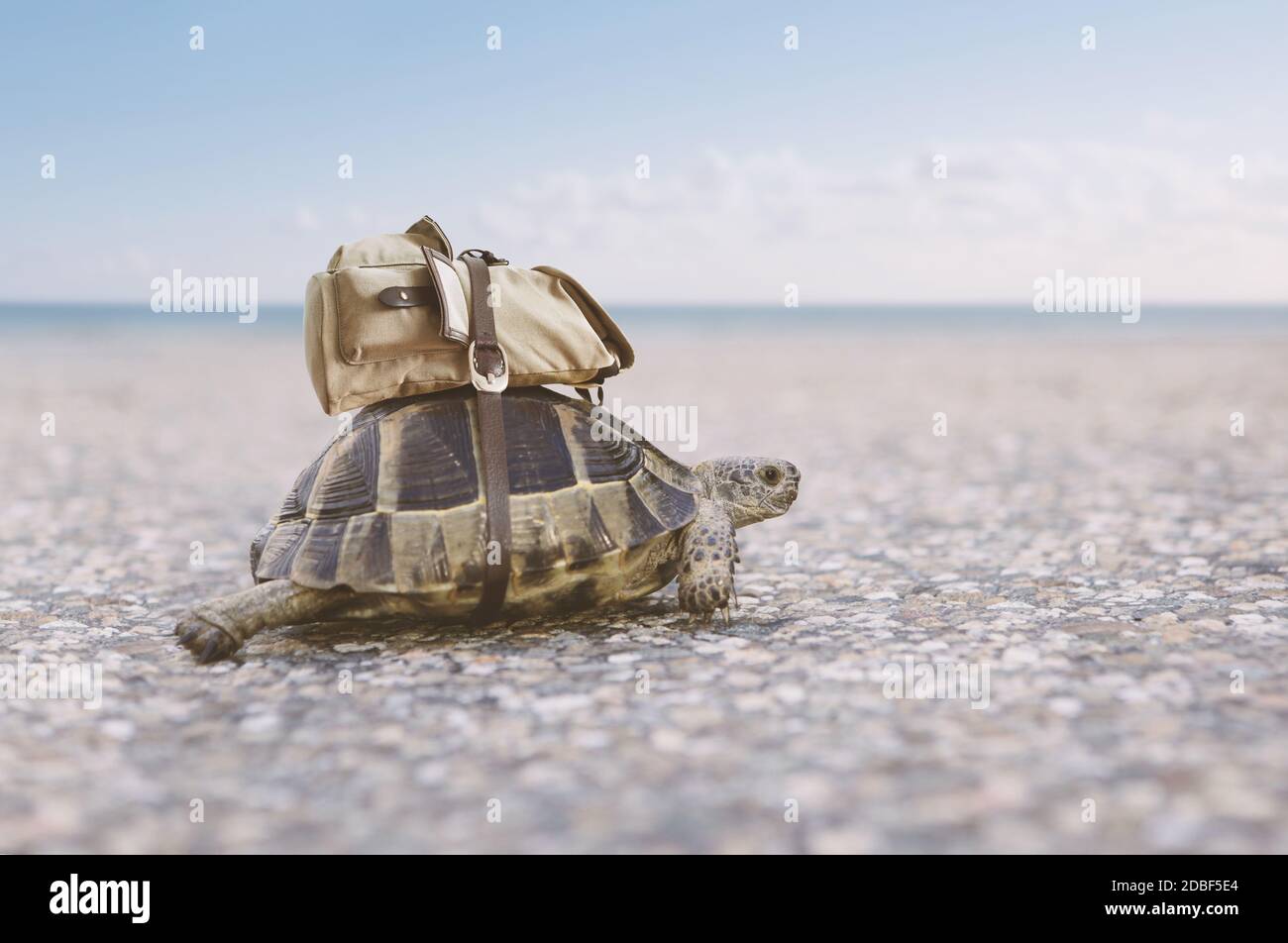 Attached to backpack hi-res stock photography and images - Alamy