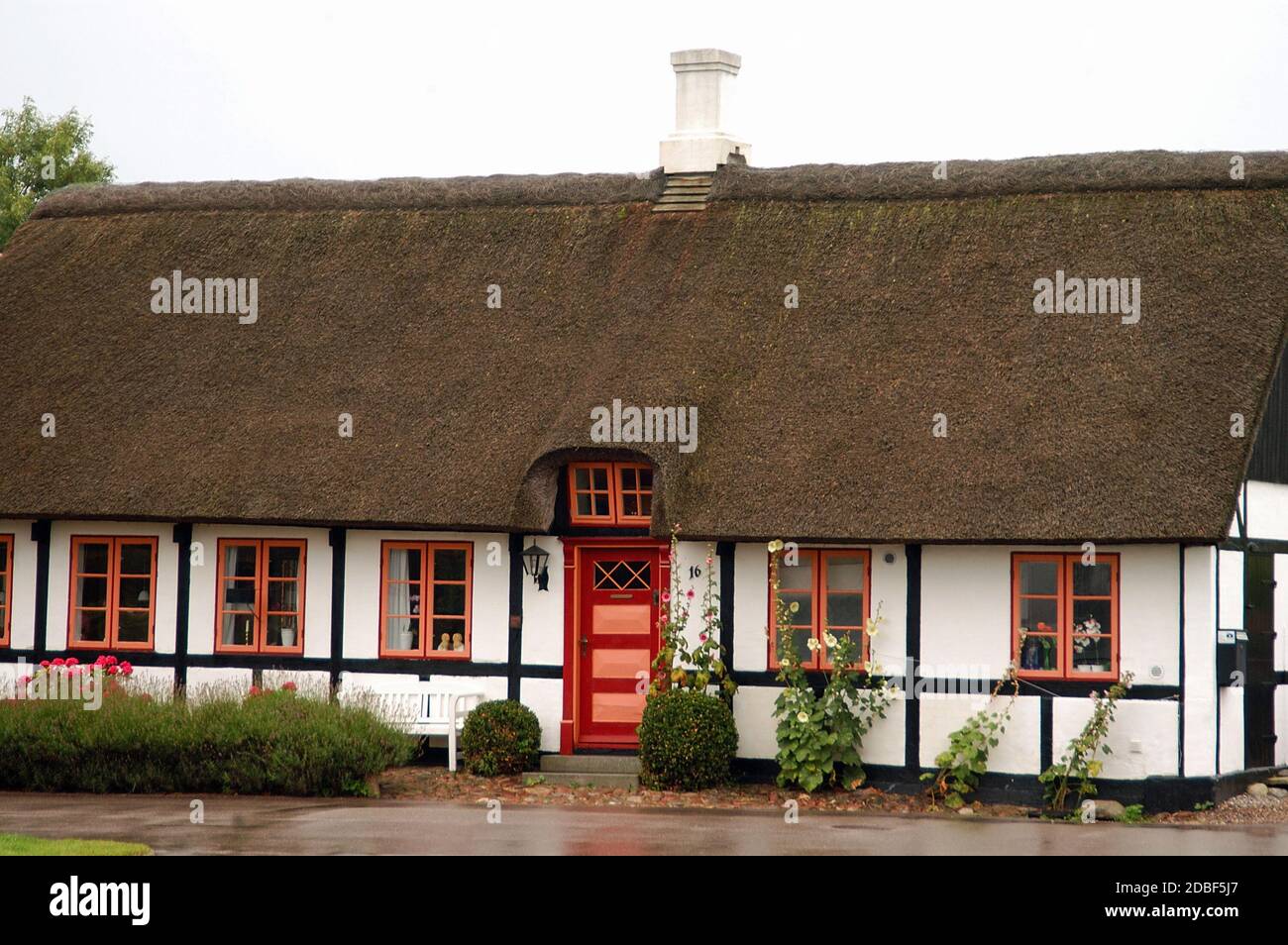 Samsa hi-res stock photography and images - Alamy