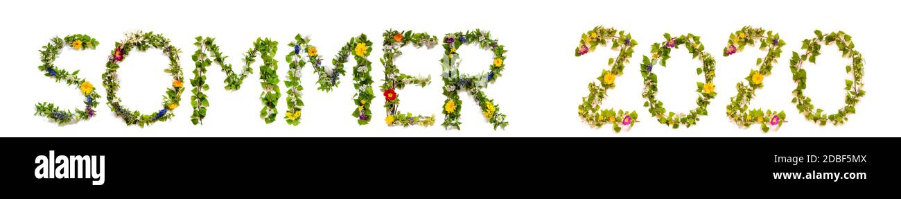 Blossom 2020 Cut Out Stock Images & Pictures - Alamy