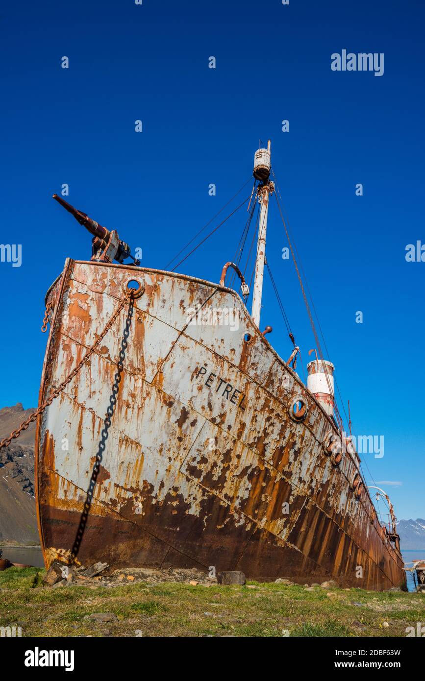 Old whaler hi-res stock photography and images - Alamy