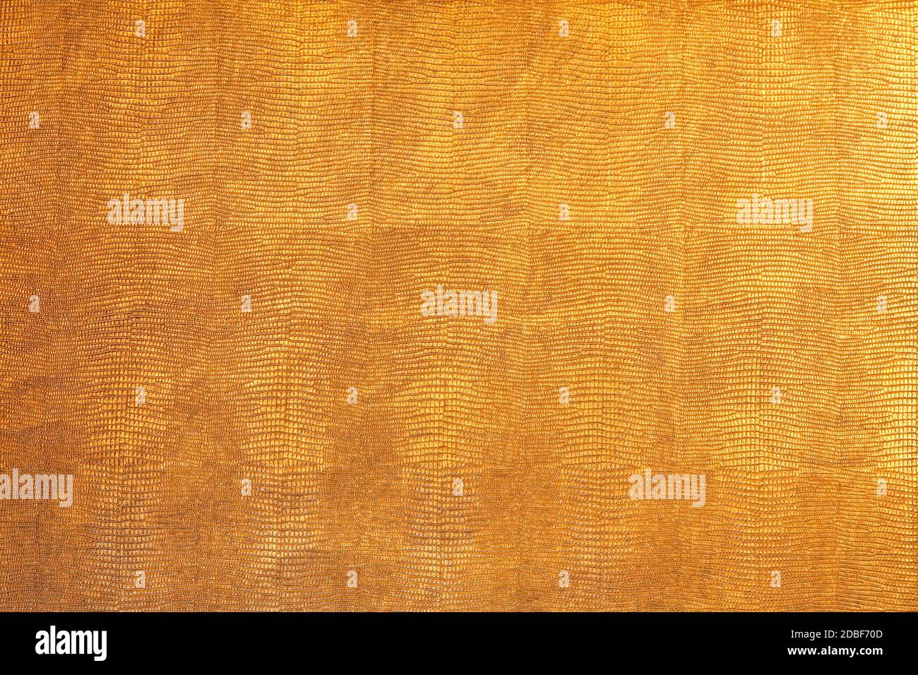 Background made from wild snake golden skin Stock Photo - Alamy