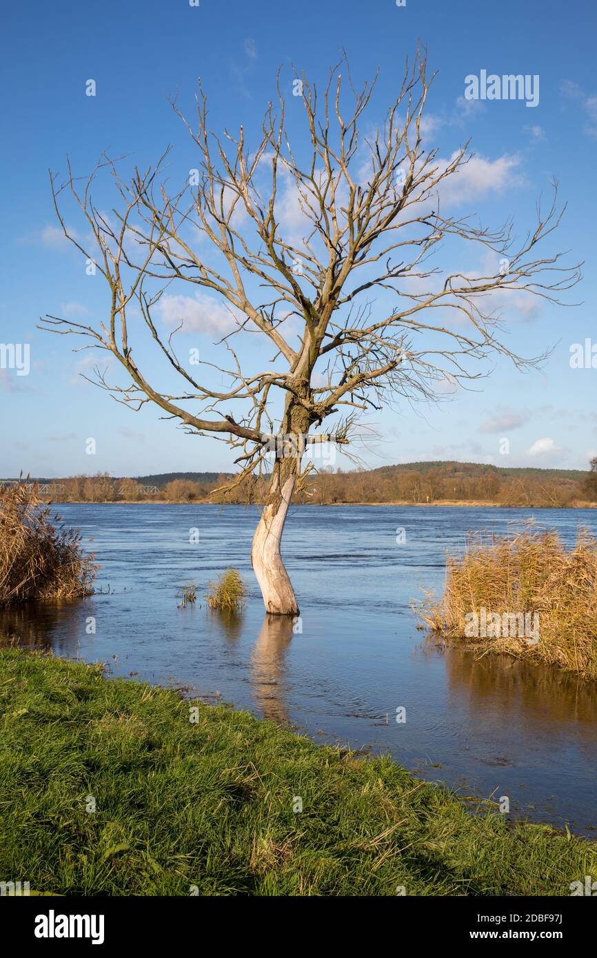 At the river Oder Stock Photo - Alamy
