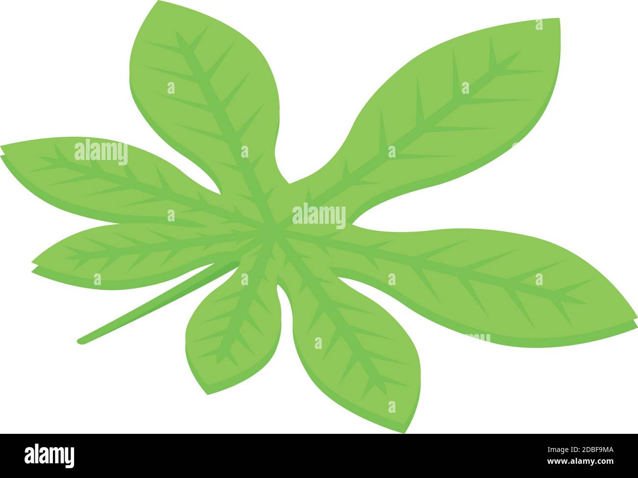 Chestnut tree leaf icon. Isometric of chestnut tree leaf vector icon ...